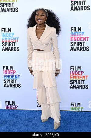 LOS ANGELES - MAR 4: Loren Lott at the 2023 Film Independent Spirit ...