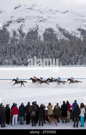 horse races on frozen lake at st moritz 1988 Stock Photo - Alamy