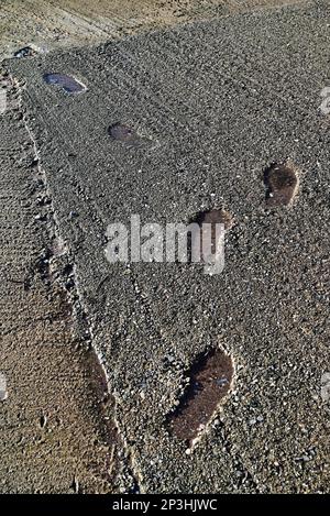 Footprints in concrete filled with water Stock Photo - Alamy