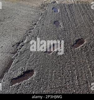 Footprints in concrete Stock Photo - Alamy