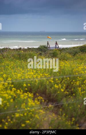 Windsock and Netherlands national flag on the Scheveningen beach ...