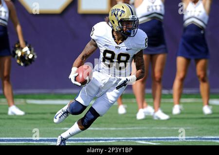 13 September 2014: Pittsburgh wide receiver Tyler Boyd (23) out-jumps ...