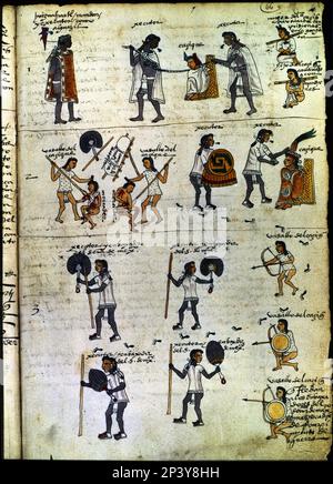 Codex Mendoza (1535 - 1550). Hieroglyph representing the methods of ...