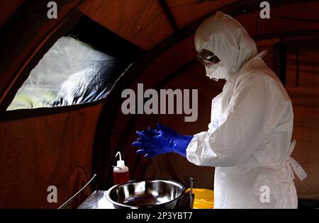 A nurse washes her hands to help stop the spread of germs between ...