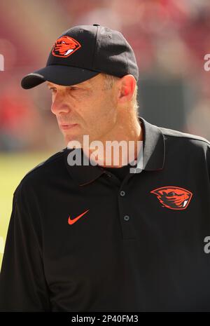 Oregon State Beavers Mike Riley (HC) during a game against Washington ...