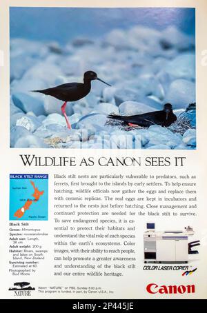 Canon color laser copier advert in a magazine 1993 Stock Photo - Alamy