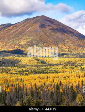 Incredible landscape views in Yukon Territory, Canada with pink, pastel ...