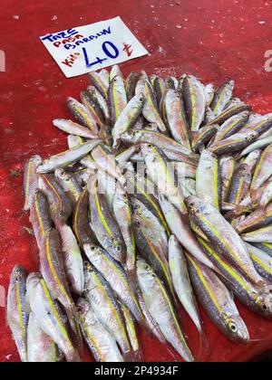 Raw yellow striped-red mullet (Turkish: Barbun) on the fish counter ...