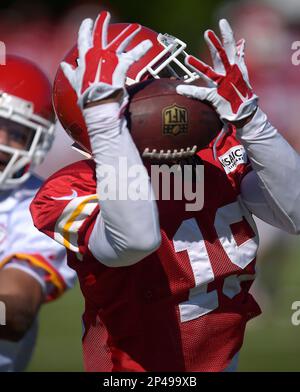 Kyle Williams Chiefs