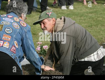Hobo Cemetery in Britt, Iowa, USA Stock Photo - Alamy