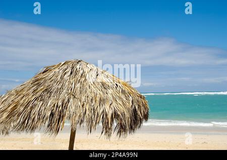 Parasol made out of palm leafs on beach Stock Photo - Alamy