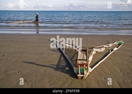 Push net used to catch Milkfish (Chanos chanos) fry laying on beach ...