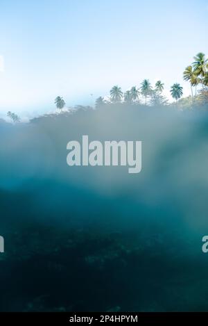 Tres Palmas Marine Reserve in Rincon, Puerto Rico Stock Photo - Alamy