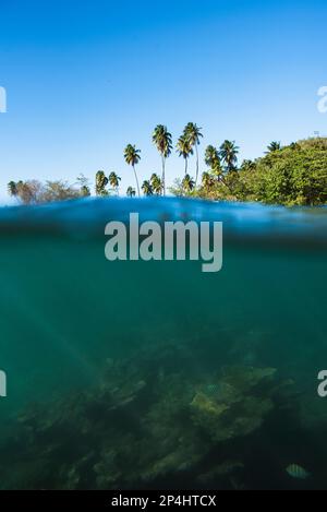 Tres Palmas Marine Reserve in Rincon, Puerto Rico Stock Photo - Alamy