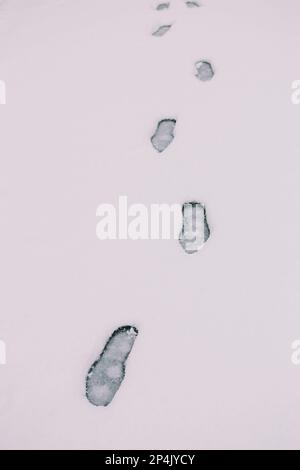 Foot marks in the snow in a garden Stock Photo - Alamy