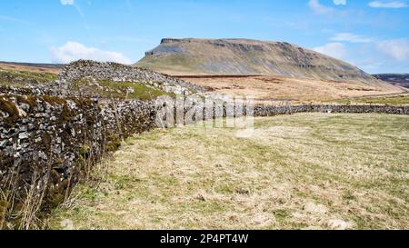 Pen-y-Ghent as seen from the flatter ground towards Dalehead. Mainly ...