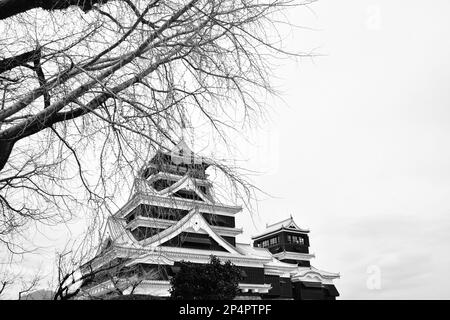 Kumamoto castle destroyed by fire but governor rebuild and conserve in ...
