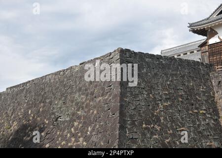 Kumamoto castle destroyed by fire but governor rebuild and conserve in ...