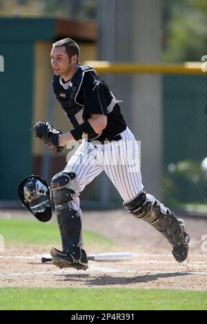 Long Island Blackbirds catcher Tyler Jones #16 during a game vs Chicago ...