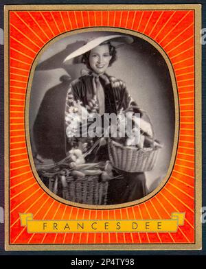 Portrait of Frances Dee - Vintage Cigarette Card Stock Photo - Alamy