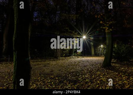 Public park at ninight with a lamp post along the path | Parc public ...