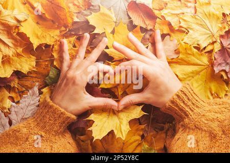 Brown leaves form heart shape on brown background Stock Photo - Alamy