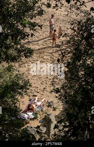 Laida beach in Urdaibai Biosphere Reserve, Biscay, Basque Country ...