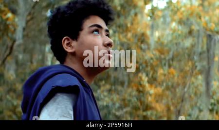 THE PARK, 2023. © XYZ Films / Courtesy Everett Collection Stock Photo ...