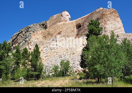 Crazy Horse at the Battle of the Little Bighorn, 1876 Stock Photo - Alamy
