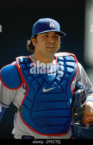 MILWAUKEE, WI - AUGUST 18: Rod Barajas #28 of the Los Angeles Dodgers ...