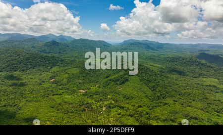 Tropical landscape with mountains and jungle. Balabac, Palawan ...