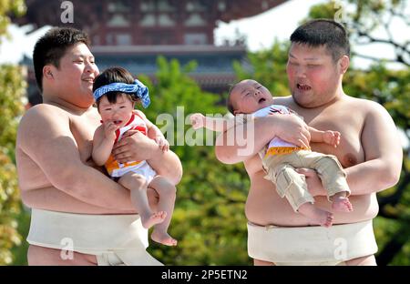 Babies cry in the arms of student sumo wrestlers during the 23rd " Naki ...