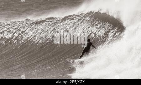 Surfing surfer unrecognizable in hood and wetsuit rear action sepia ...