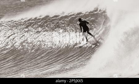 Surfing surfer unrecognizable in hood and wetsuit rear action sepia ...
