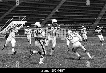 Marshall University's football team plays a scrimmage game at Fairfield ...
