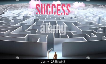A journey to find Success - going through a confusing maze of obstacles ...