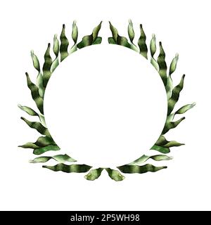 frame made of kelp leaves Stock Photo - Alamy