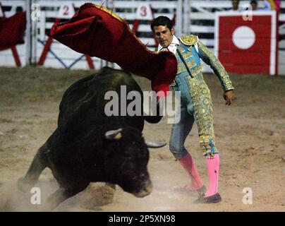 Professional bullfighter Manolo Martinez Jr. tames a bull during a ...