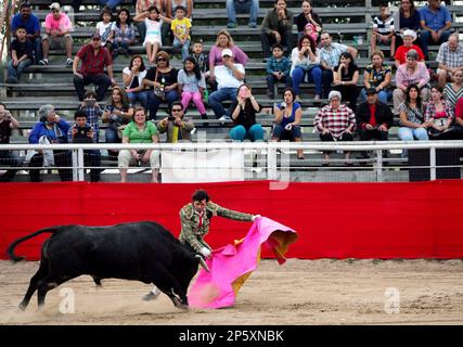 Professional bullfighter Jorge de Jesus "El Glison" tames a bull in ...