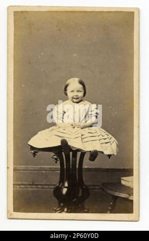 Carte de Visite of Laura Eliza Wilson And Mary Morgan, 1863 Stock Photo ...