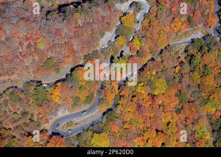 Autumn Leaves on Irohazaka Slope Stock Photo - Alamy