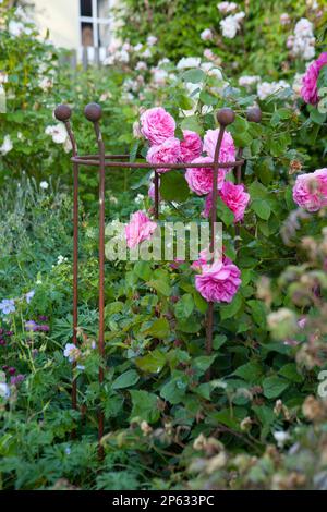 Sue Whigham garden Stock Photo - Alamy