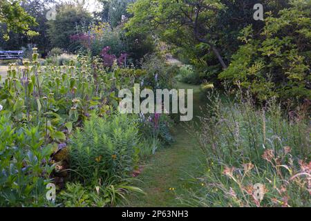 A grass pathway gently curves around a flower border Stock Photo - Alamy