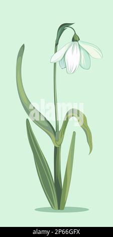 Abstract spring and summer flat simple natural background with flowers ...