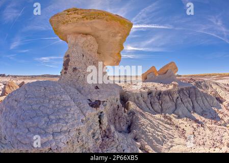 Slabs of stone along the Red Basin Trail called the Tabletops at Petrified Forest National Park ...