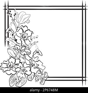 primrose drawing vector drawing spring flowers Stock Vector Image & Art ...