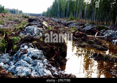 Double drainage ditch Stock Photo - Alamy