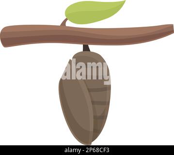 Branch cocoon icon cartoon vector. Natural leaf. Larva insect Stock ...