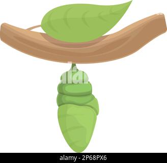 Tree cocoon icon cartoon vector. Natural silk. Leaf life. Tree cocoon ...