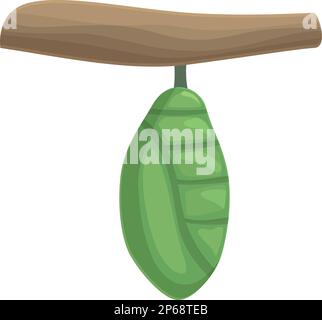 Leaf cocoon icon cartoon vector. Silk larva. Insect wildlife Stock ...